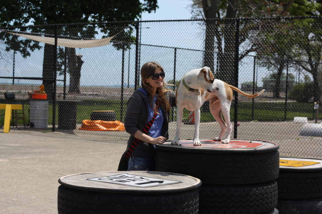 A Dog Meet Dog World – South Side Weekly