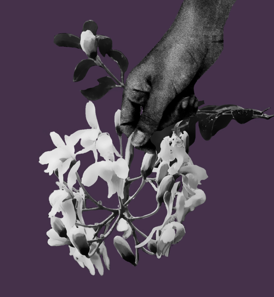 Activists Discuss Crisis within Crises and Transformation at the ...