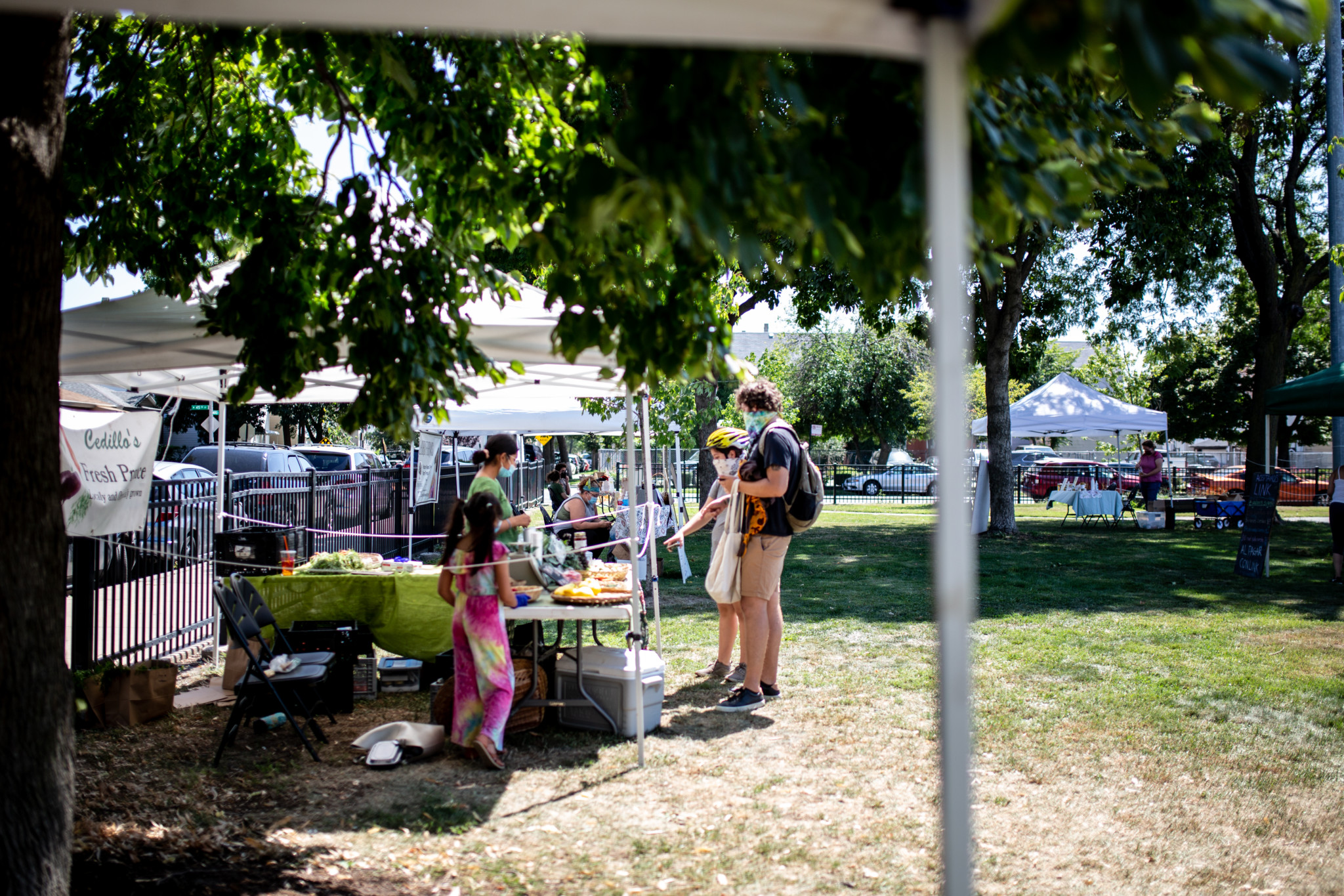 Plant Chicago Connects Link Card Holders to Local Farms – South Side Weekly