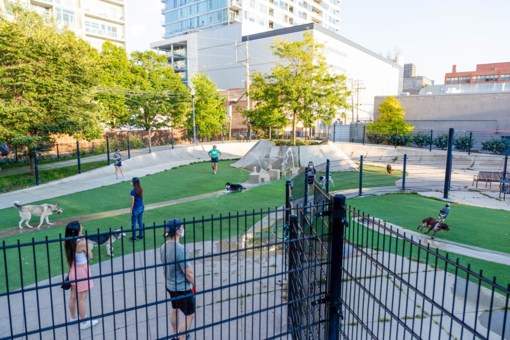 Best of South Loop 2021 – South Side Weekly