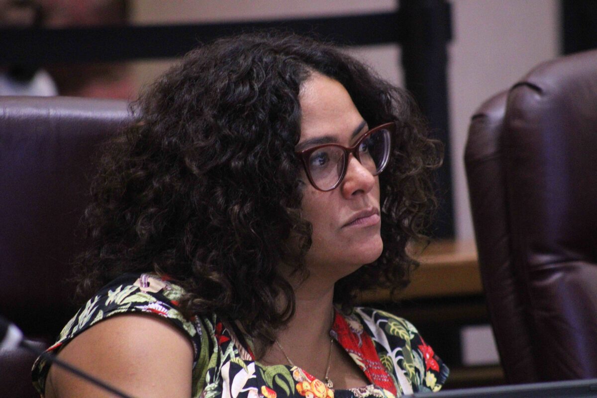 City Council Moves Forward on Treatment Not Trauma – South Side Weekly