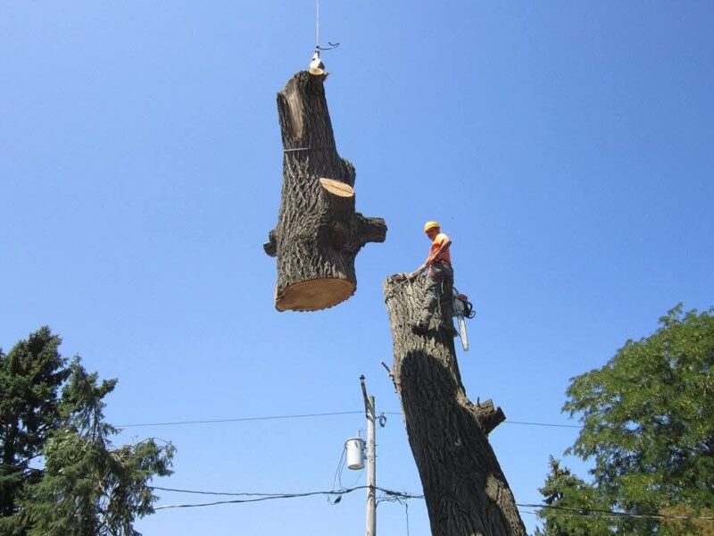 No Warrant, No Warning: A Family’s Fight After an ICE Arrest – South ...