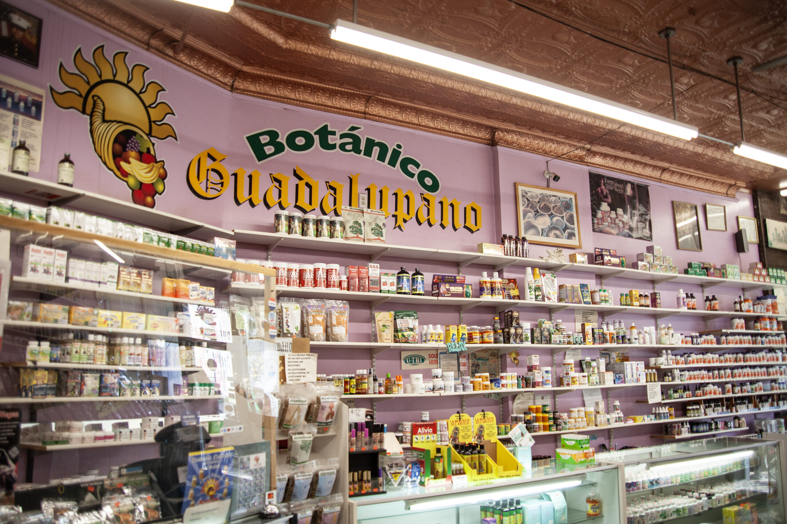 Best Botánica to Get Your Herb On: Centro Botánico Guadalupano — Pilsen ...